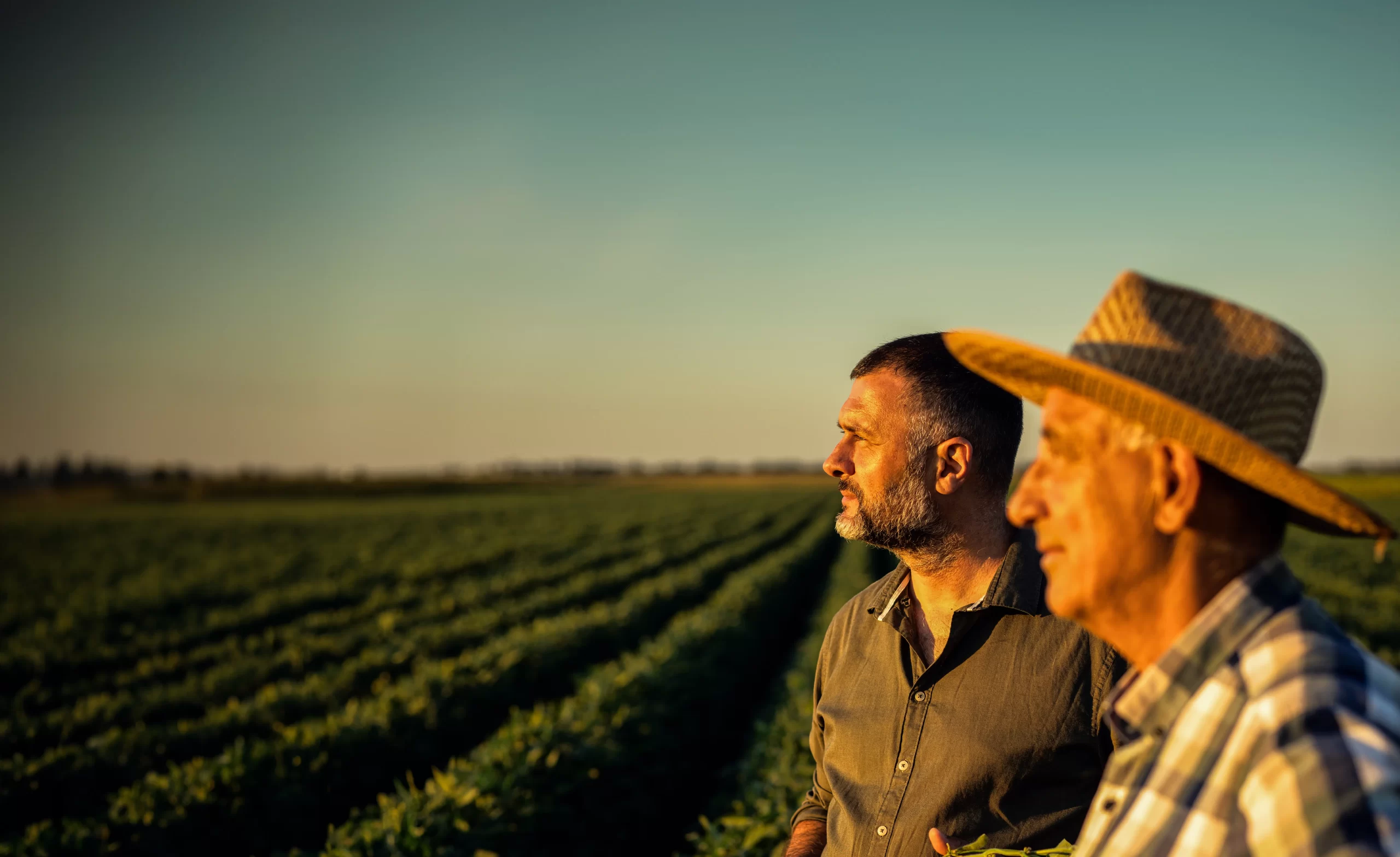 Integraciones Albor Agro Agtech