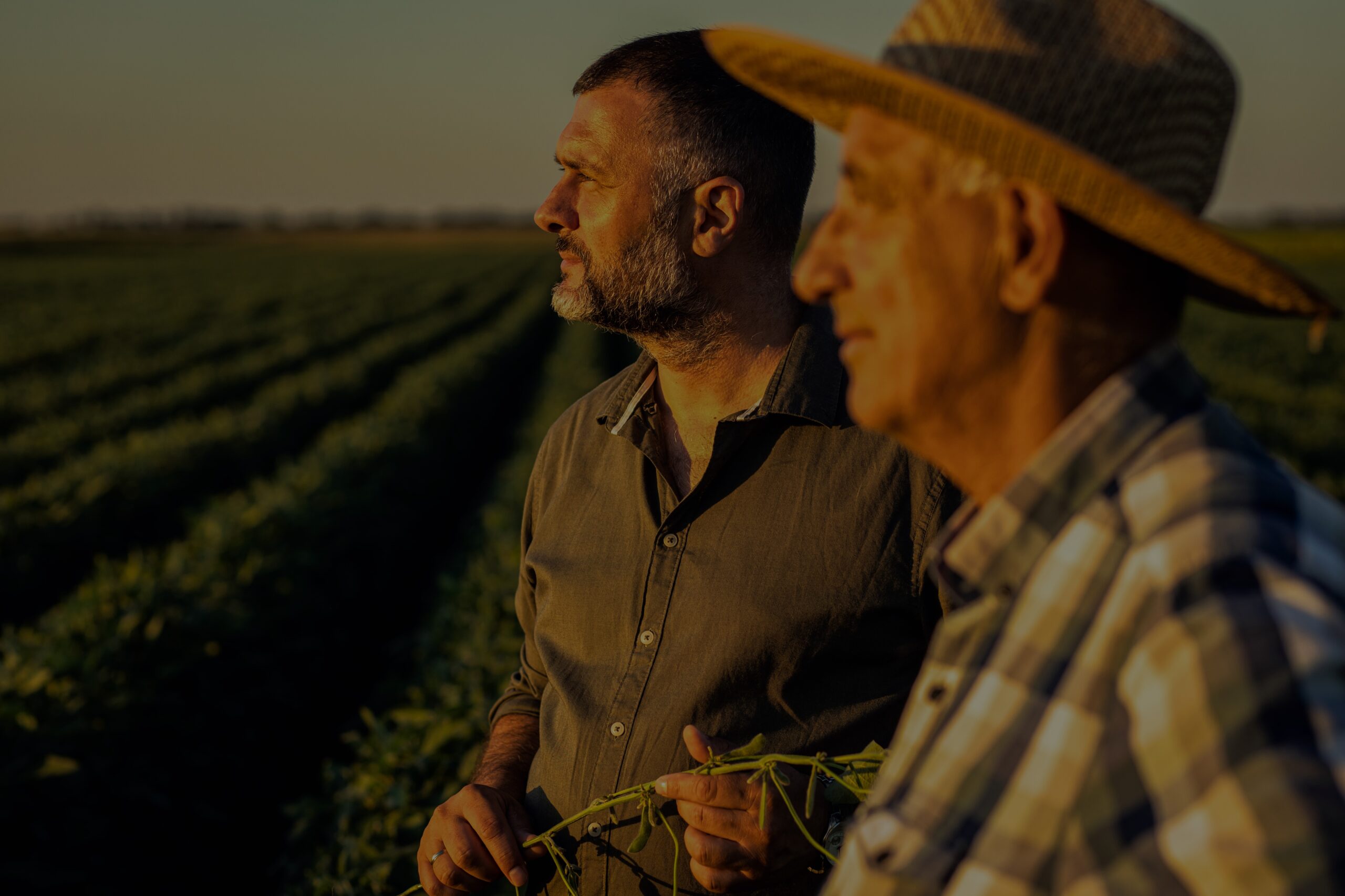 Albor Agro Gestión de Campo